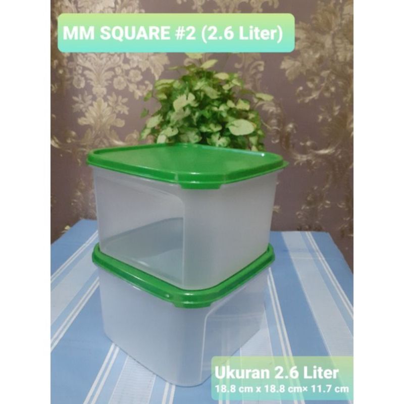 Jual Modular Mate Square #2 (1pcs) / Tupperware | Shopee Indonesia