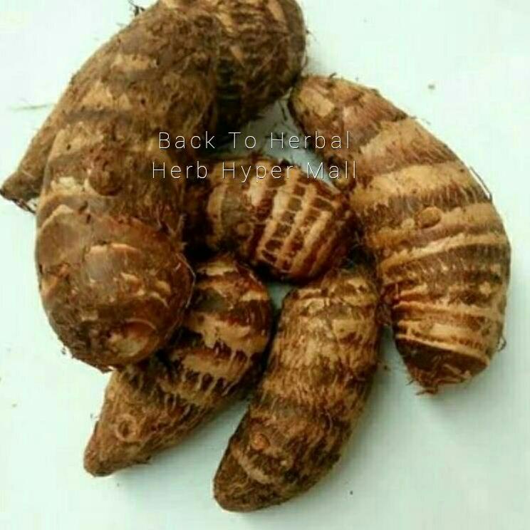 Jual Stok terbaru TALAS KIMPUL/MBOTE PULEUN Organik 1kg | Shopee Indonesia