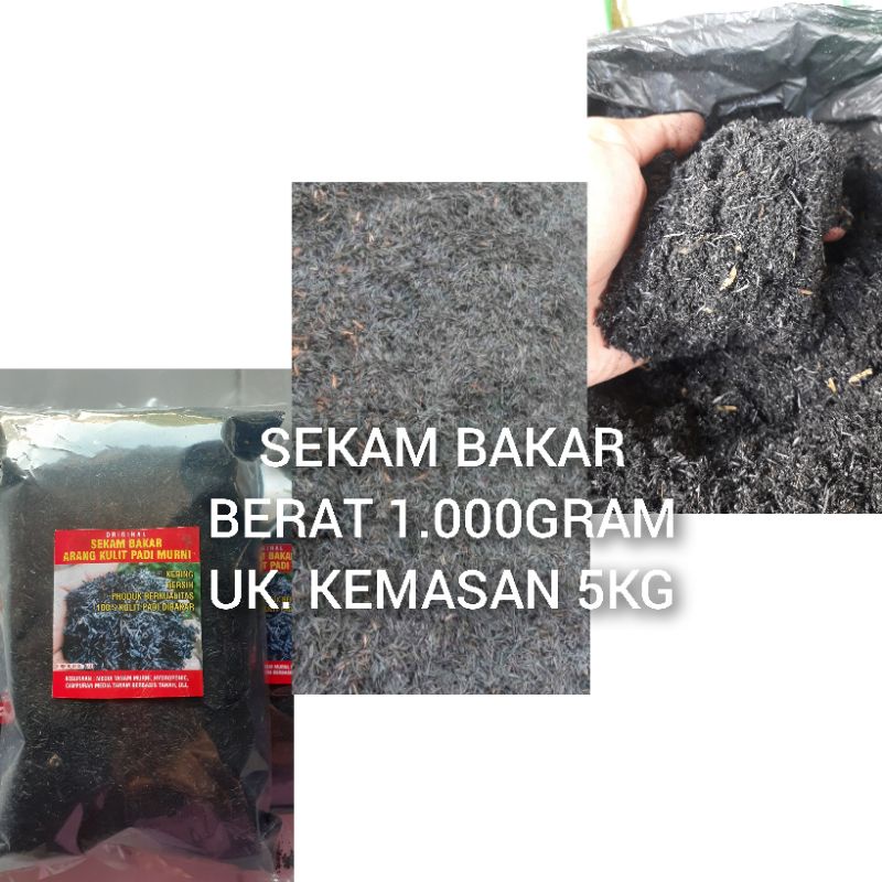 Jual BERAT 1KG SEKAM BAKAR MURNI MEDIA TANAM UK. KEMASAN 5KG | Shopee ...
