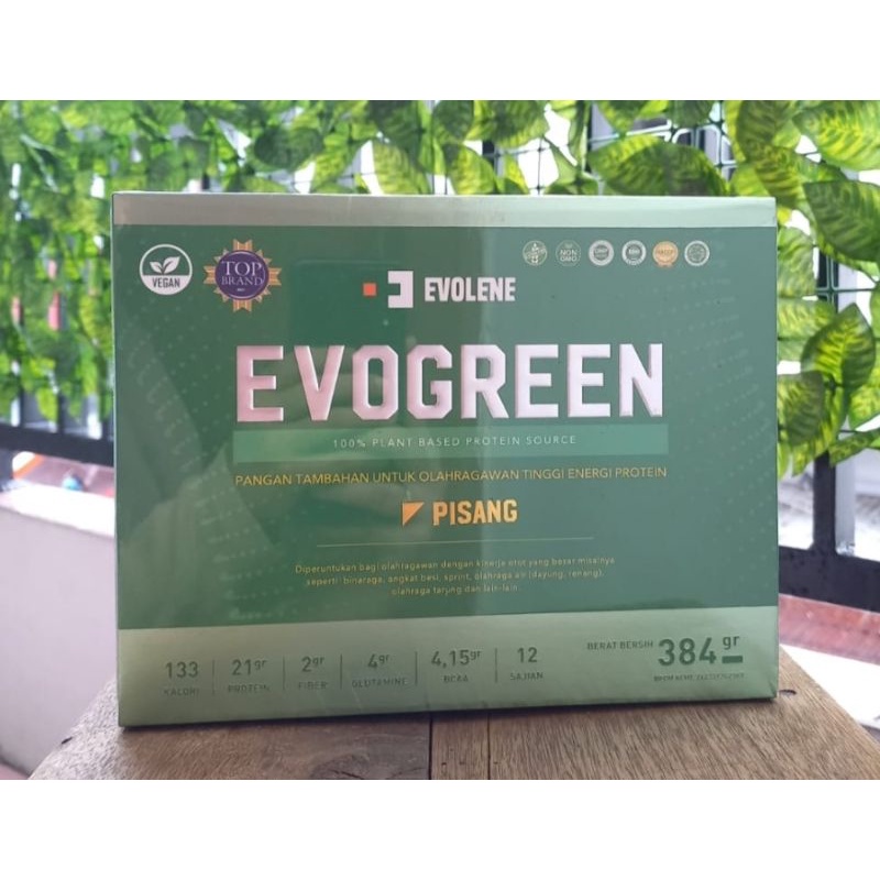 Jual EVOGREEN 12saset plant based protein vegan friendly rasa pisang ...