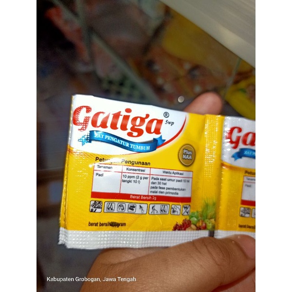 Jual GATIGA PENGATUR ZAT TUMBUH TANAMAN BISA COD | Shopee Indonesia