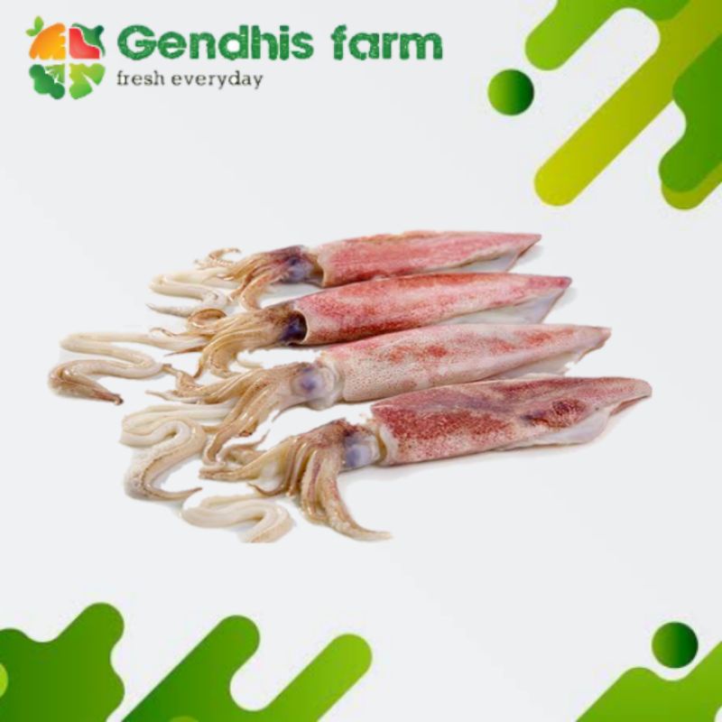 Jual Cumi Segar - Cumi Laut Segar [200] | Shopee Indonesia