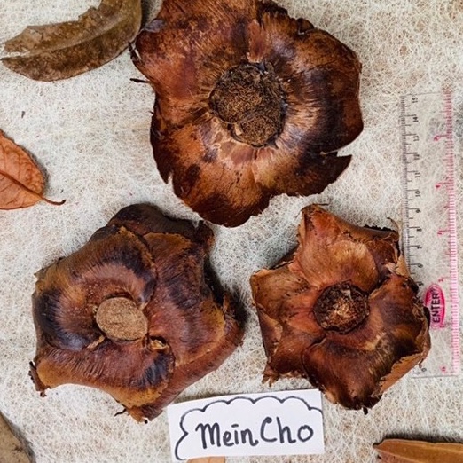 Jual Bunga SIWALAN Bunga Kering Bunga Properti Foto Dekorasi Mahar ...