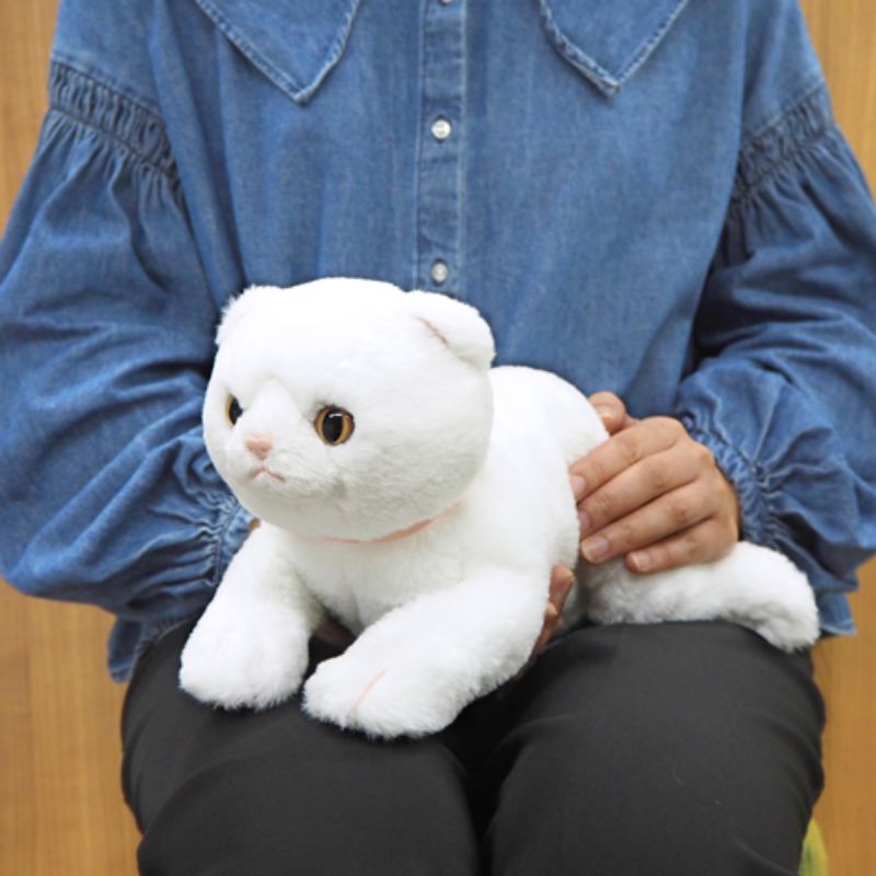 Jual C10. Boneka SUNLEMON CAT SMALL MEDIUM ekspor Jepang | Shopee Indonesia