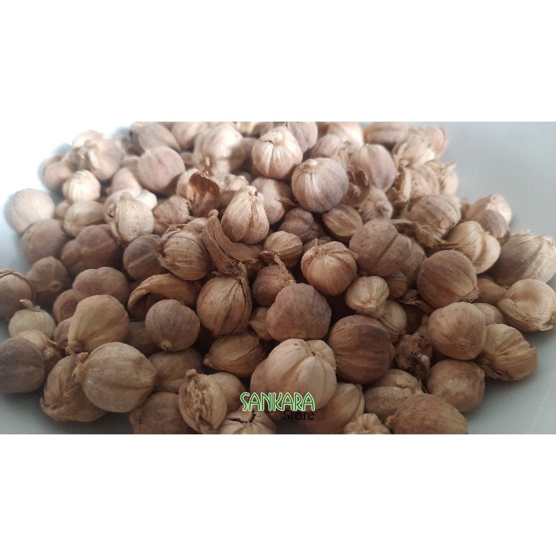 Jual kapulaga / kapol 50 gram | Shopee Indonesia