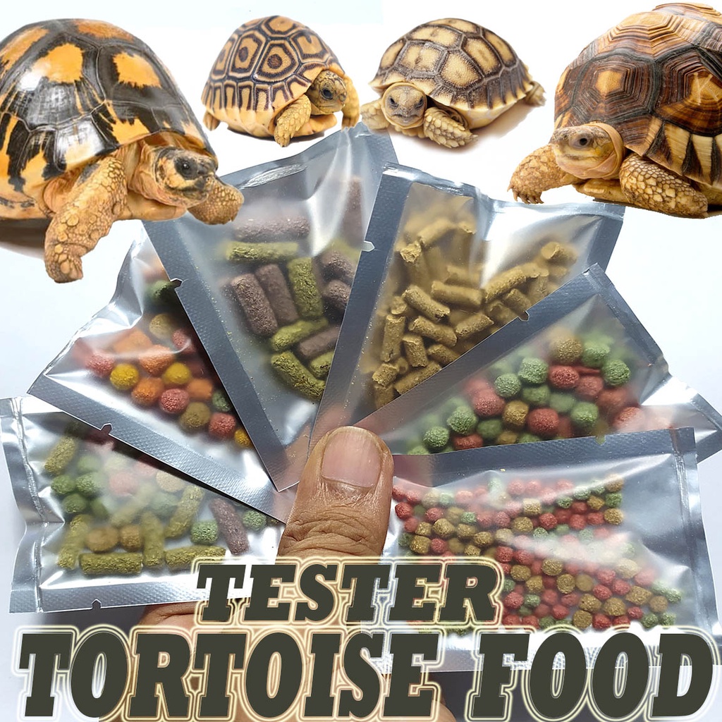 Jual 6 VARIAN TESTER PAKAN MAKANAN SULKATA SULCATA KURA DARAT TORTOISE ...