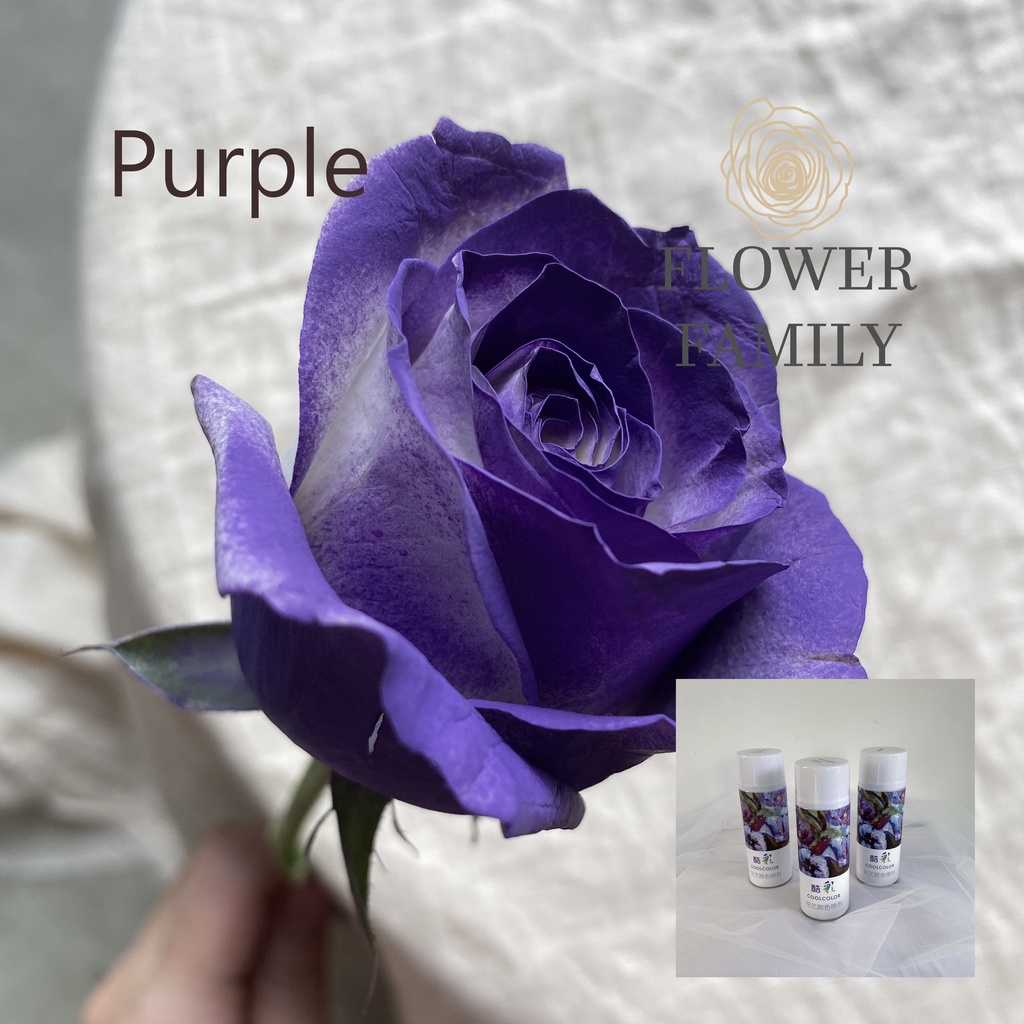 Jual Flower Family - COOL COLOR / Floral Spray / Pewarna Bunga Pilox ...