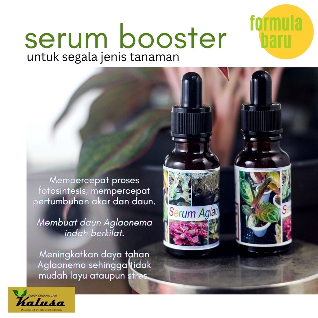 Jual SERUM BOOSTER TANAMAN FORMULA BARU KALUSA SERUM TANAMAN HIAS ...
