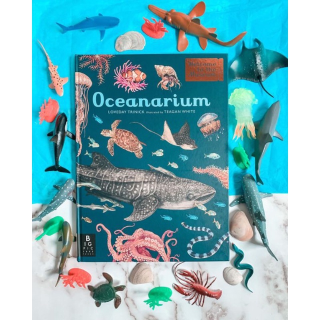 Jual Buku Oceanarium (Hardcover) Loveday Trinick | Shopee Indonesia