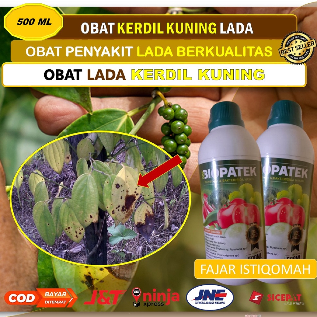 Jual BIOPATEK fungisida hayati obat daun kerdil kuning LADA (500 ML ...