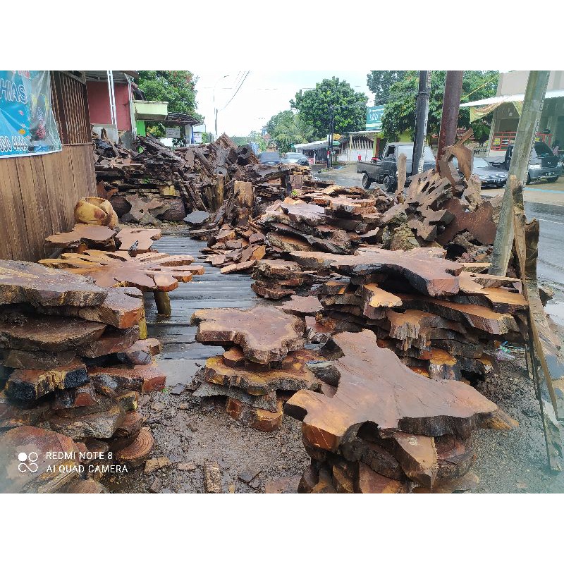 Jual Mentahan Akar jati/top akar jati/top meja kayu jati | Shopee Indonesia