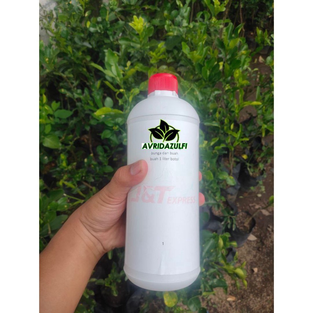 Jual Vitamin perangsang bunga dan buah 1 liter botol | Shopee Indonesia