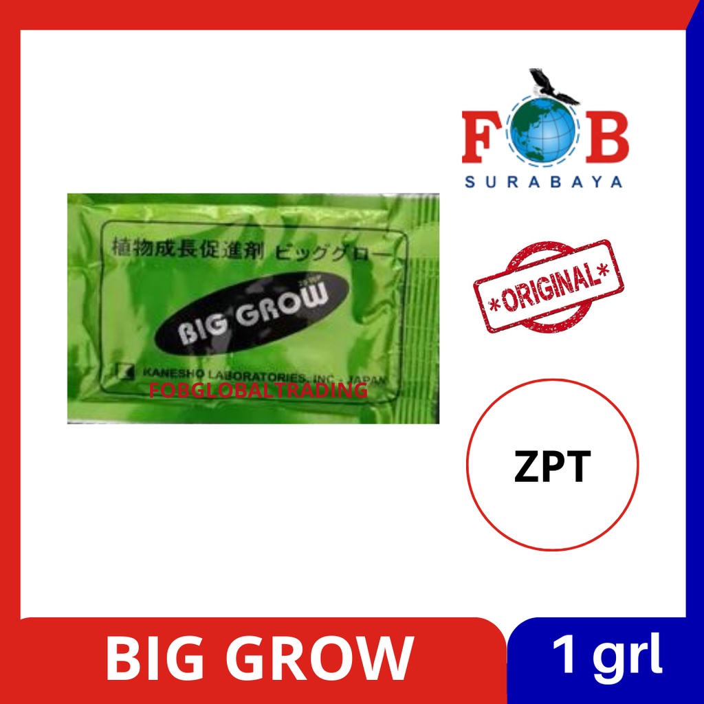 Jual PUPUK ZPT BIG GROW FORTE 1GR ZAT PENGATUR TUMBUH | Shopee Indonesia