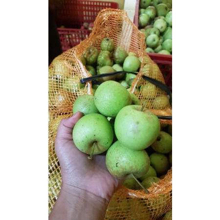 Jual Apel Manalagi kecil / cherry kota Batu 1 kg isi 20-25 buah spek ...