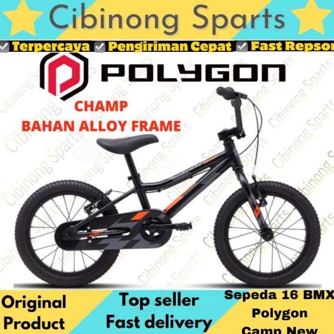 Jual Sepeda Anak 16 Bmx Polygon Champ Alloy New Product | Shopee Indonesia
