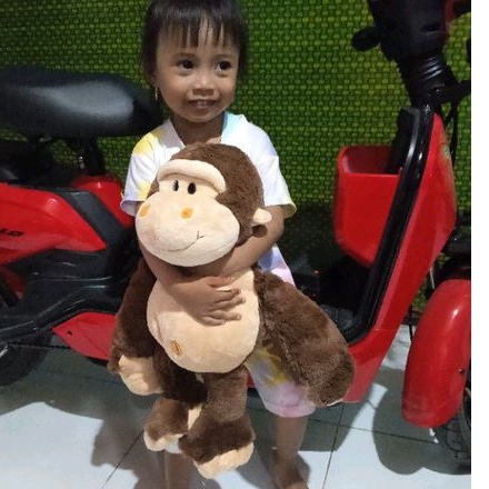 Jual Boneka Mainan Anak Boneka motif monkey monyet Rico L 17in | Shopee ...