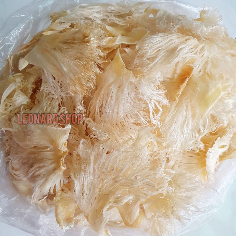 Jual HISIT UTUH TEBAL SUPER 鱼翅 KERING UKURAN BESAR BAHAN SUP SIRIP IKAN ...