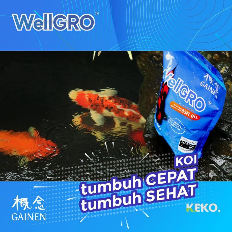 Jual wellgro well growth 2kg floating | Shopee Indonesia