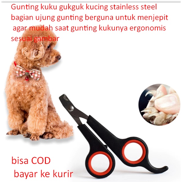 Jual Gunting kuku gukguk kucing stainless steel bagian ujung gunting ...