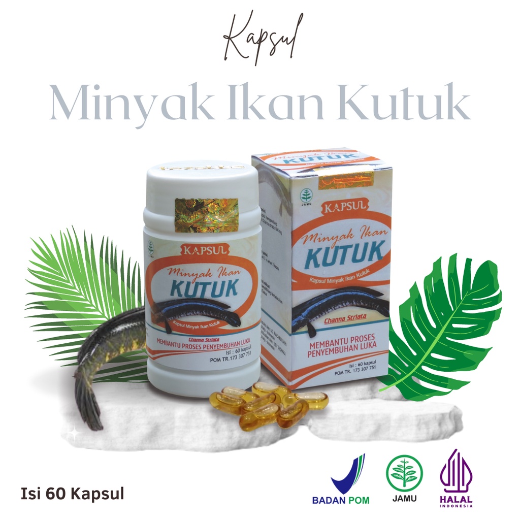 Jual Kapsul Herbal Minyak Ikan Kutuk Tazakka 30 dan 60 caps Memperbaiki ...