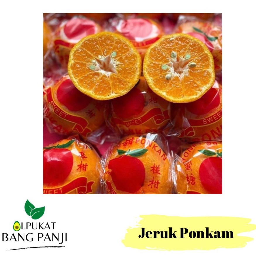 Jual Jeruk Mandarin Ponkam Kecil | Shopee Indonesia