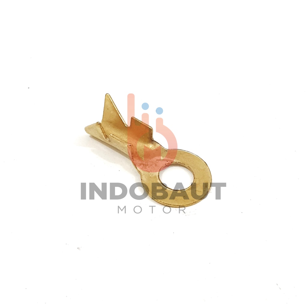 Jual Skun Aki M6 Baut 10 Kabel Besar Klem Terminal Accu Ring Bulat 6mm ...