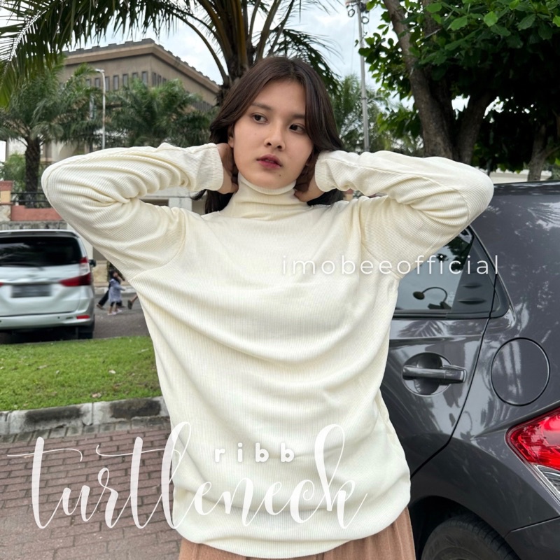 Jual TURTLENECK RIBB // KAOS TURTLE NECK RIB KERAH TINGGI | Shopee ...