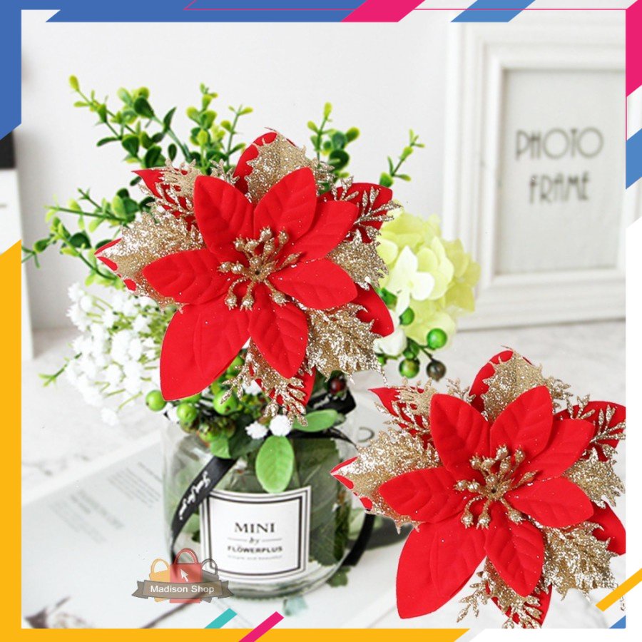 Jual PAKET SET TEMPAT BAKAR / GRILL TAHUN BARU 2022 /Bunga Natal Merah ...