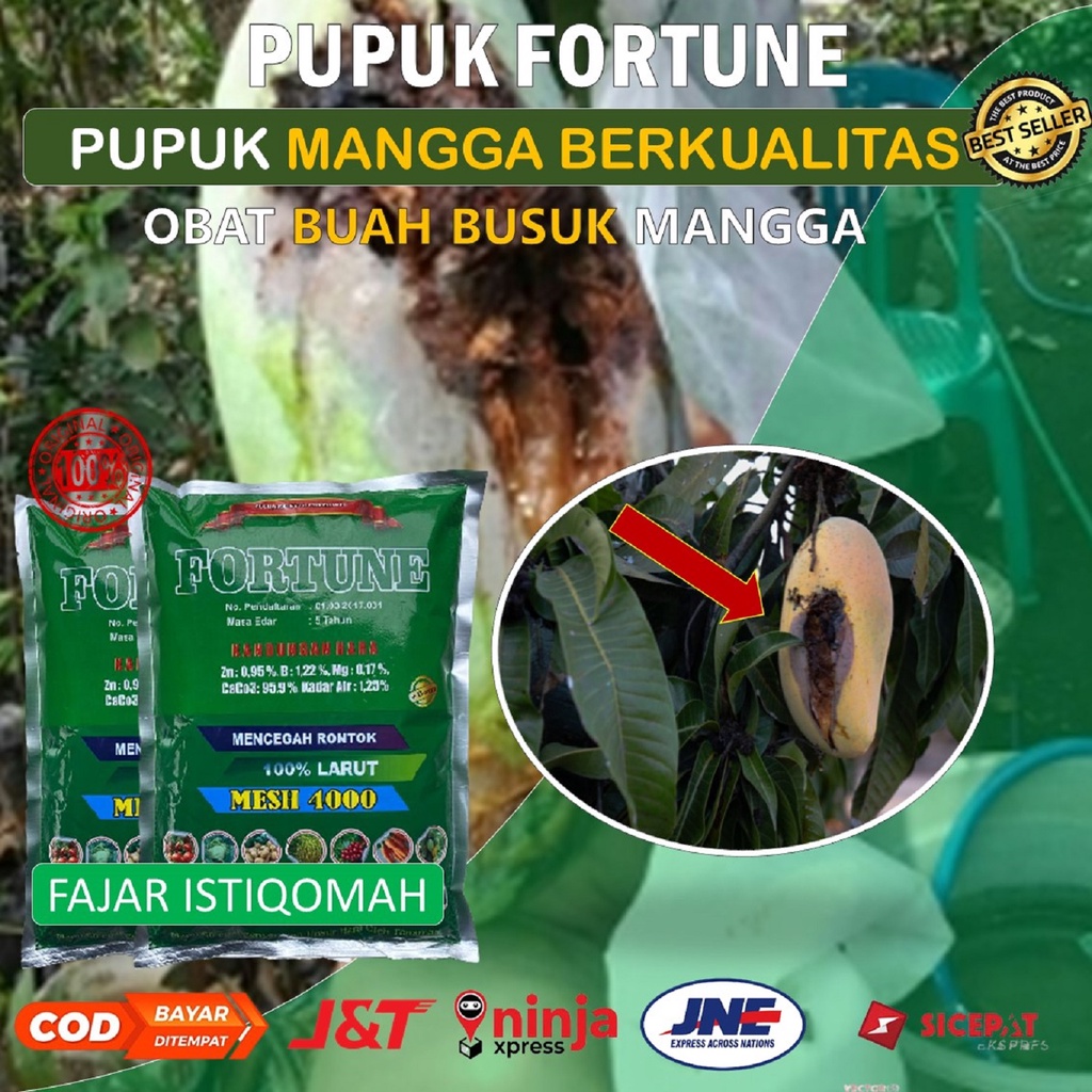 Jual (100% ORIGINAL) PUPUK FORTUNE isi 1 kg OBAT BUSUK BUAH mangga TERLARIS - pupuk PELEBAT BUAH ...
