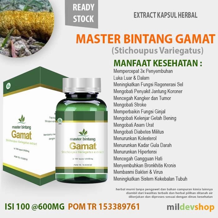 Jual kapsul Herbal MASTER BINTANG GAMAT Stroke Diabetes Asma kanker ...