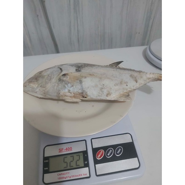 Jual ikan kwe (ikan kue) | Shopee Indonesia