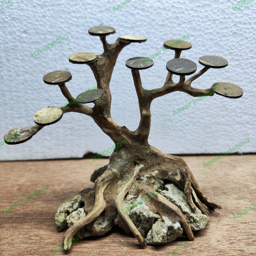 Jual Kayu Grigit Gigi Pohon Bonsai Penjing Aquarium Aquascape | Shopee ...