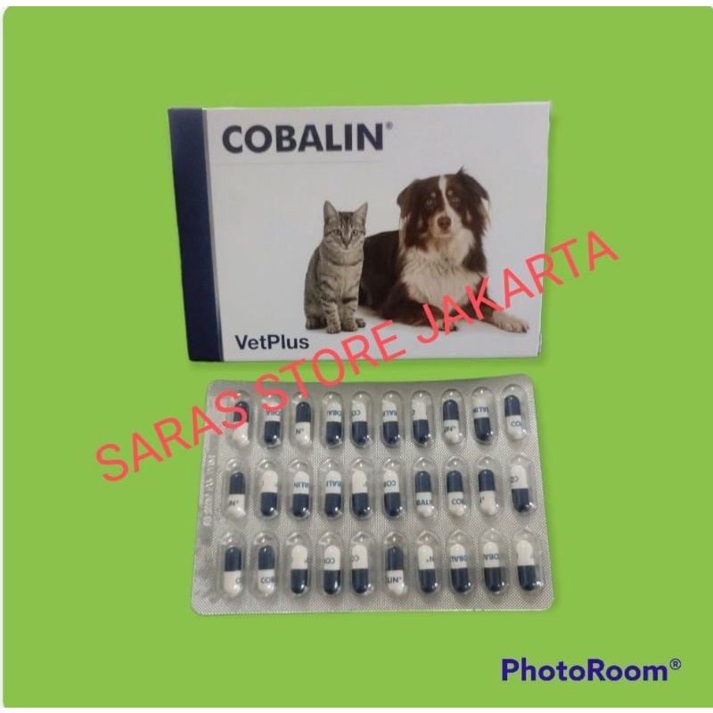 Jual COBALIN Vetplus Untuk Gejala Hipokobalaminemia Anjing dan Kucing ...