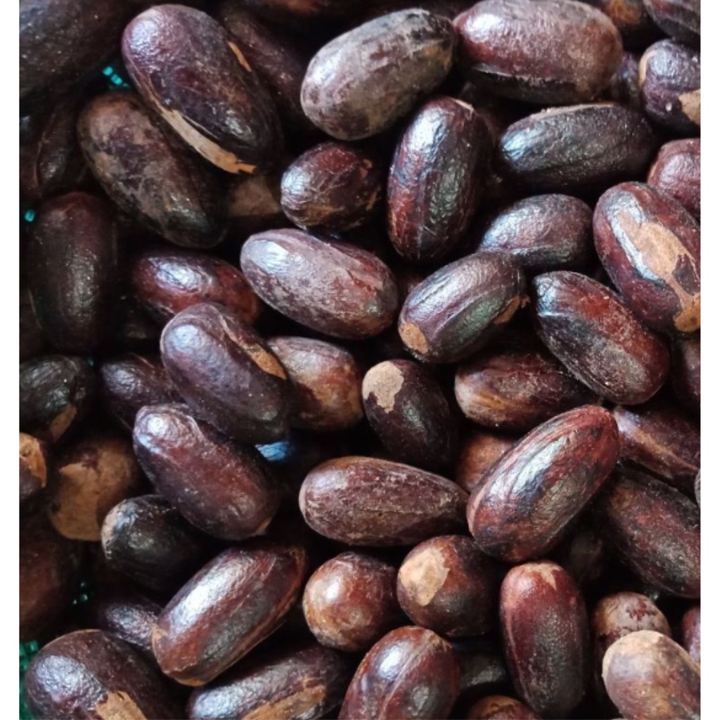 Jual BIJI PALA POLO LONJONG UTUH DENGAN KULIT 100/250/500 GRAM | Shopee ...