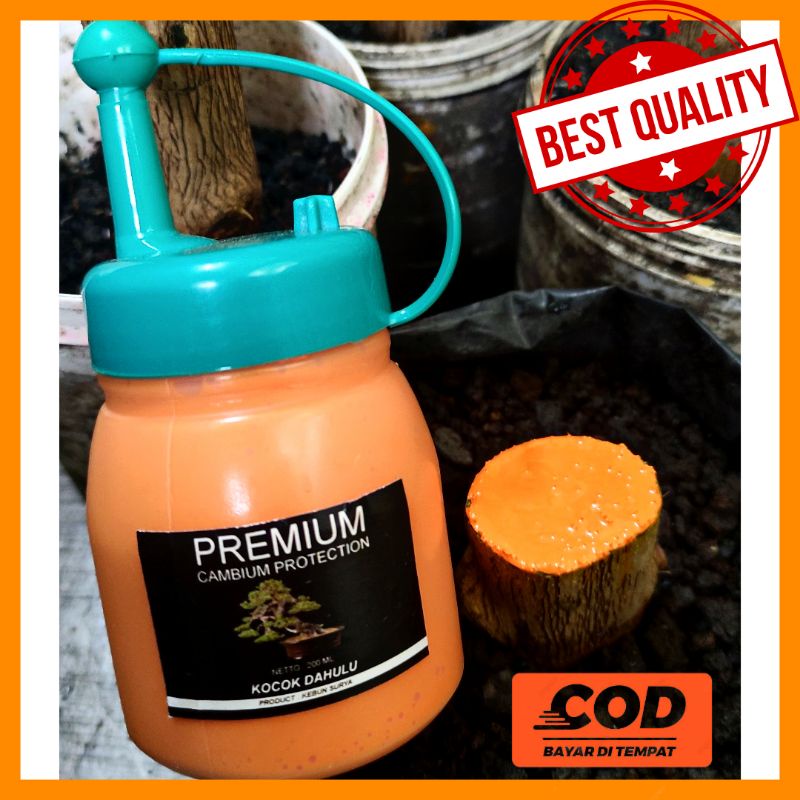 Jual Saleb Kambium Bonsai Premium Obat luka potongan Healing Paste Plus ...