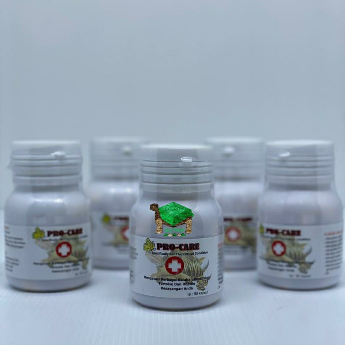 Jual PRO CARE / PROCARE - OBAT PILEK REPTIL / KURA / SULCATA ISI 50 ...