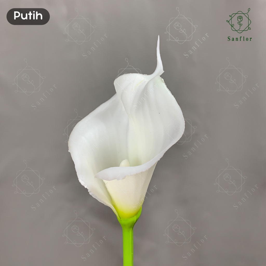 Jual CALLA LILY K1/BUNGA LILY LATEX 1 CABANG/CALLA LILY PALSU | Shopee ...