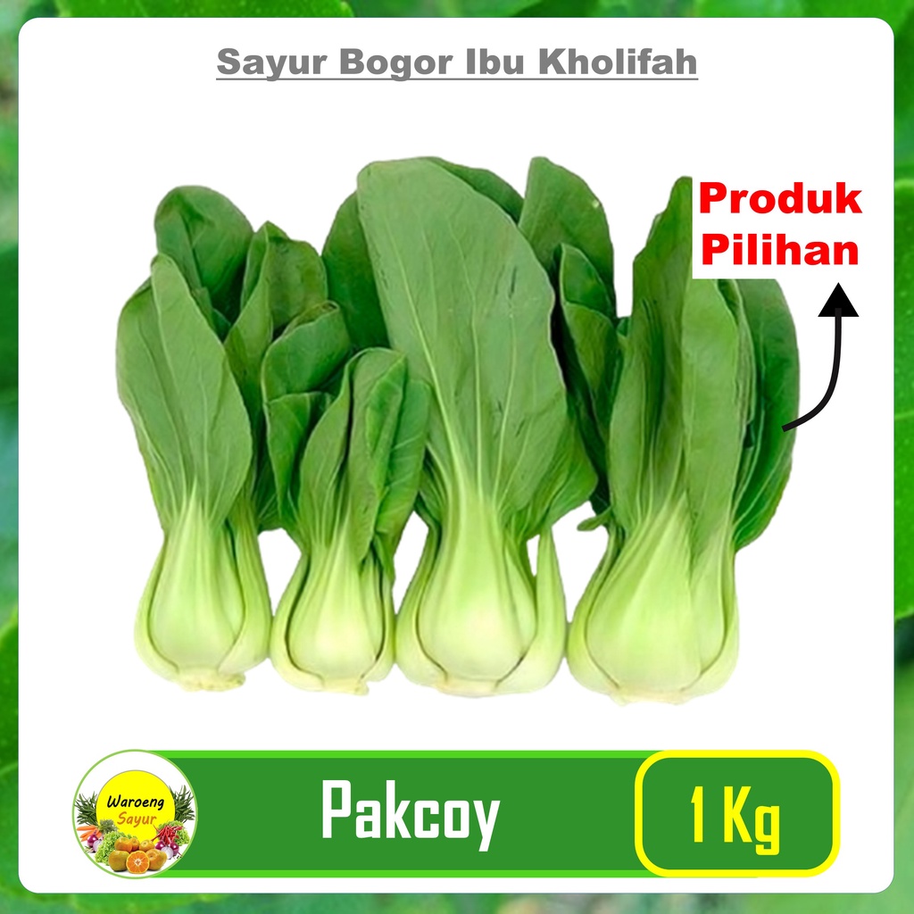 Jual Pakcoy Sawi Daging 1Kg Makanan Sayur Segar Sayuran Online Bogor ...