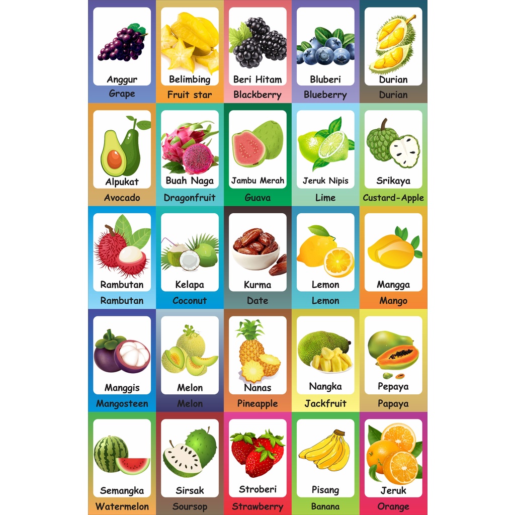 Jual Poster Edukasi/Buah/2 Bahasa | Shopee Indonesia