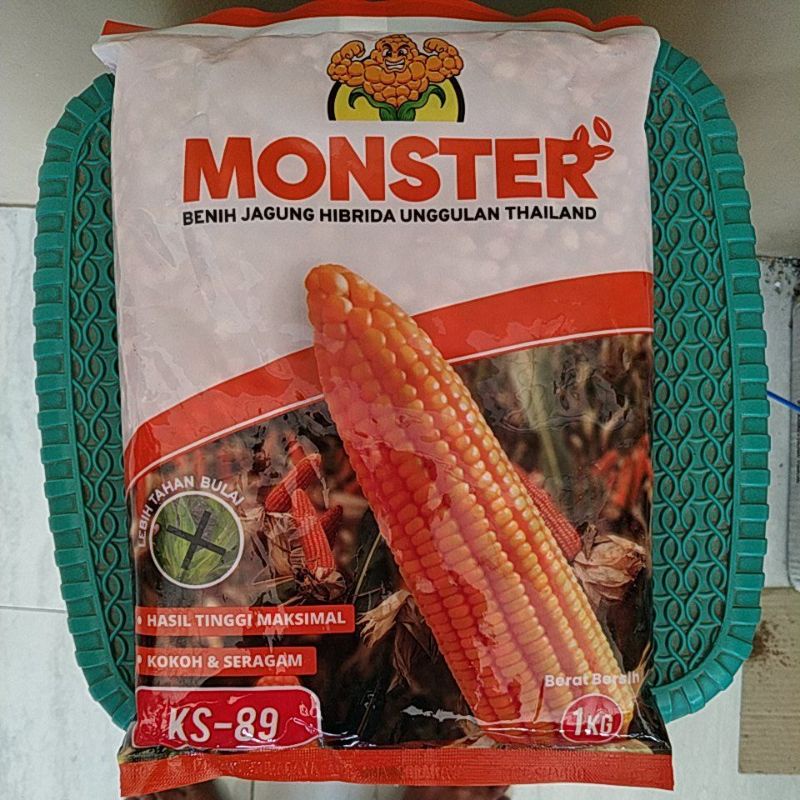 Jual benih jangung KS-89 MONSTER 1kg benih jagung hibrida | Shopee Indonesia