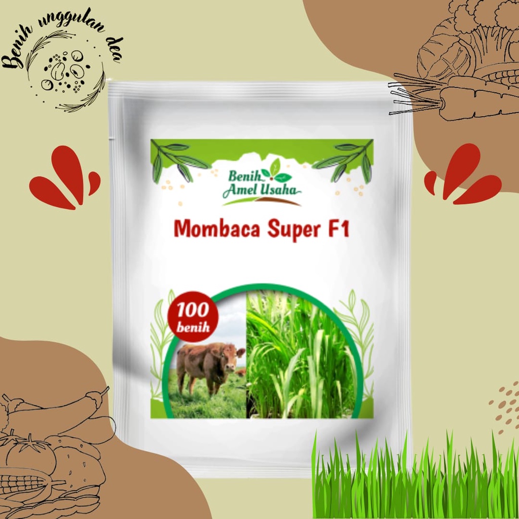 Jual benih mombaca super F1 isi 100 benih / bibit benih pakan ternak ...