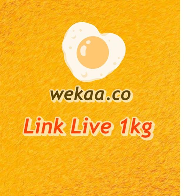 Jual 15k-100k (1kg) | Shopee Indonesia