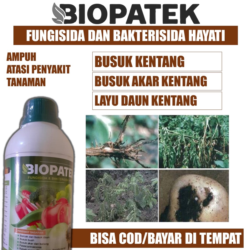 Jual BIOPATEK isi 500 ML/Fungisida sistemik/obat Patek/obat busuh daun ...