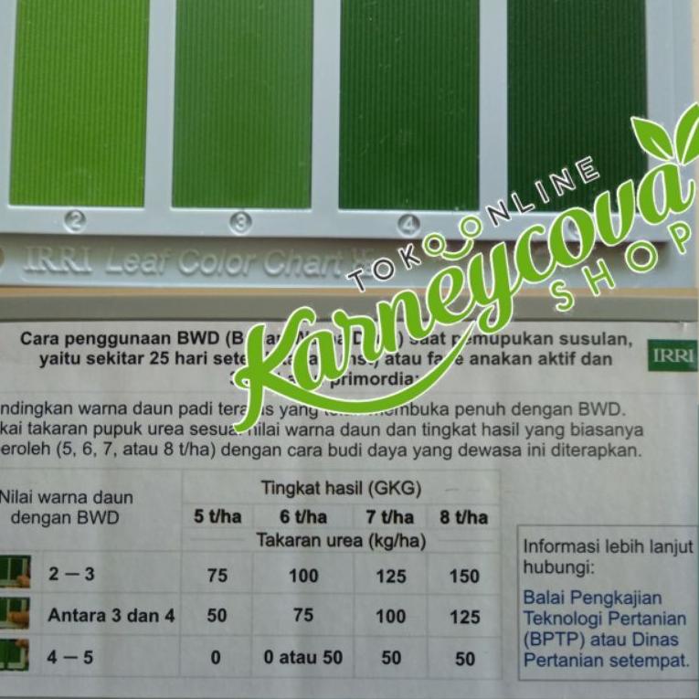 Jual [E-T9T] ] Bagan Warna Daun (BWD) untuk padi-super keren | Shopee ...