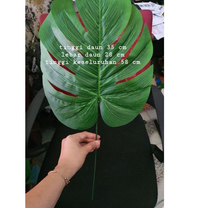 Jual Daun Monstera (SINGLE) Jumbo tinggi 58 cm / Daun Philodendron ...