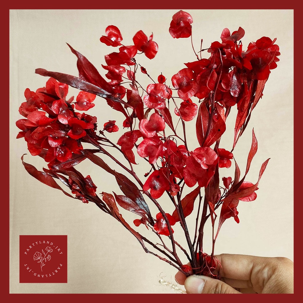 Jual Chinese New Year Preserved Red HopBush Dodonaea Bunga Imlek ...