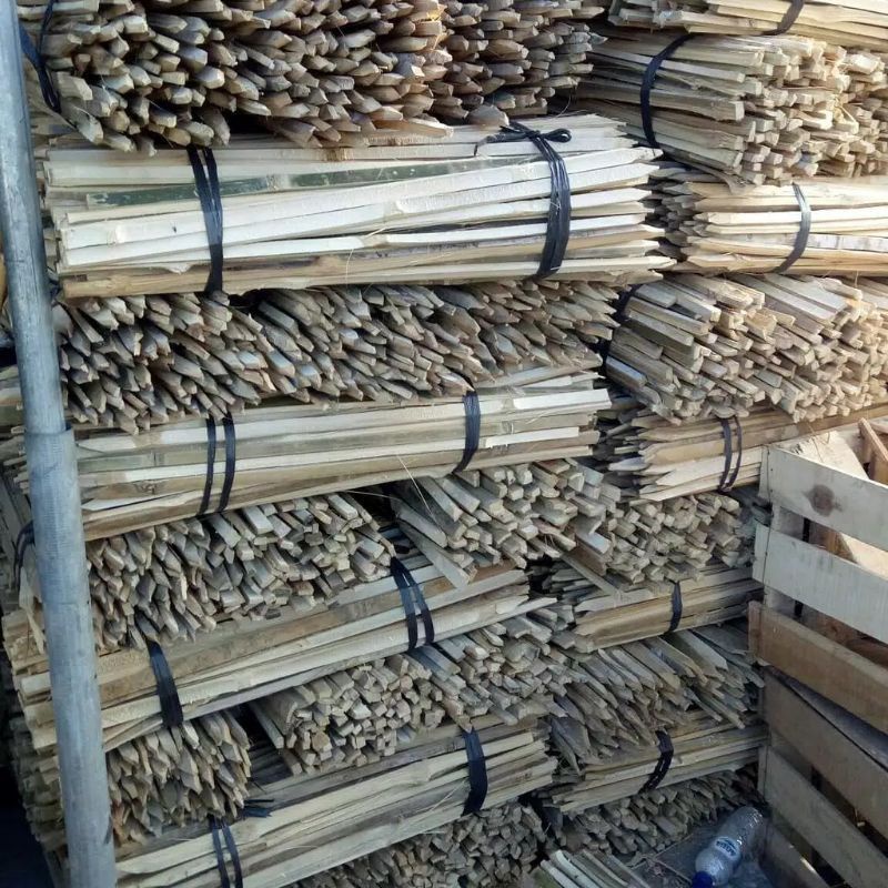 Jual Bambu Penyangga Tanaman/Ajir Ukuran 150 Cm | Shopee Indonesia
