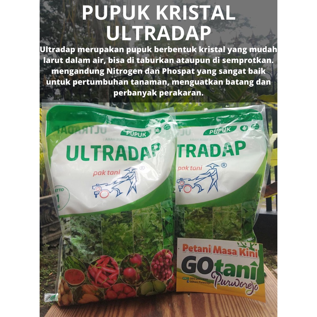 Jual ULTRADAP (PUPUK KRISTAL N&P ) | Shopee Indonesia
