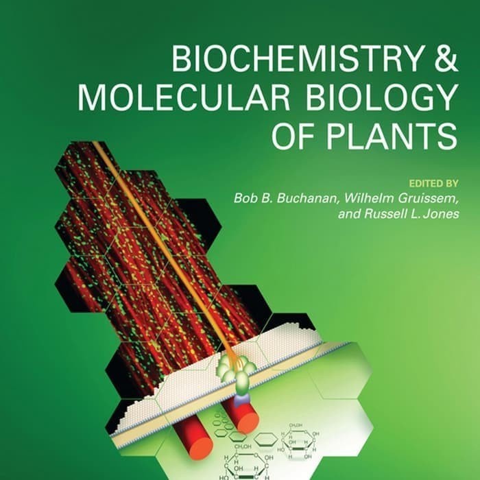 Jual Buku Biochemistry & Molecular Biology Of Plant-DJ | Shopee Indonesia