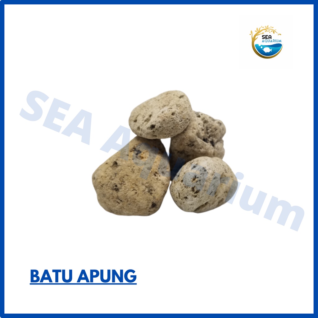 Jual FILTER KOLAM KOI AQUARIUM BATU APUNG 1 KG AKUARIUM FILTER AIR ...